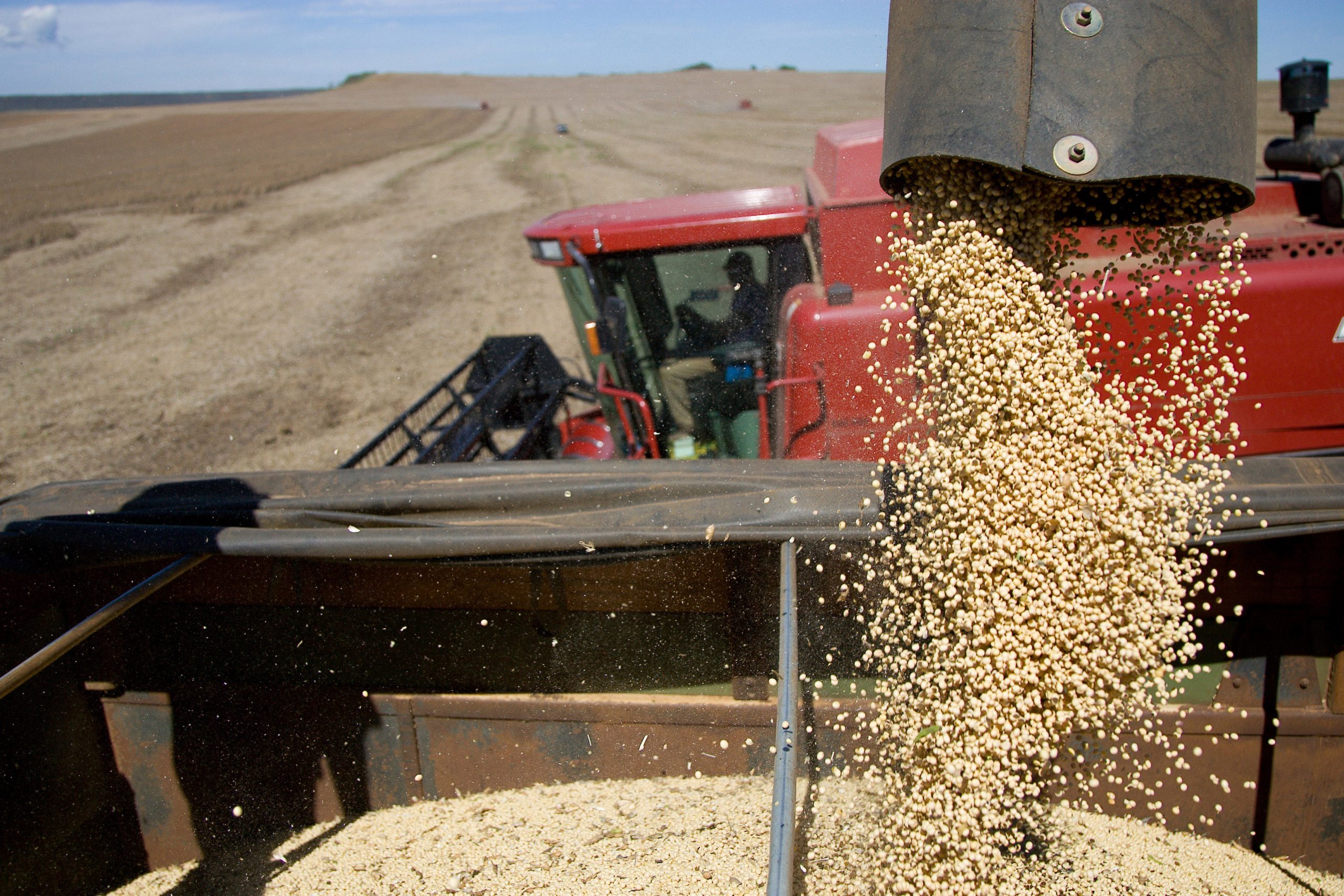 Soya Processing Unveiled: A Nutrient-Rich Powerhouse for Healthy Living ...